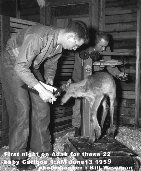 Untitled Document [www.orneveien.org]