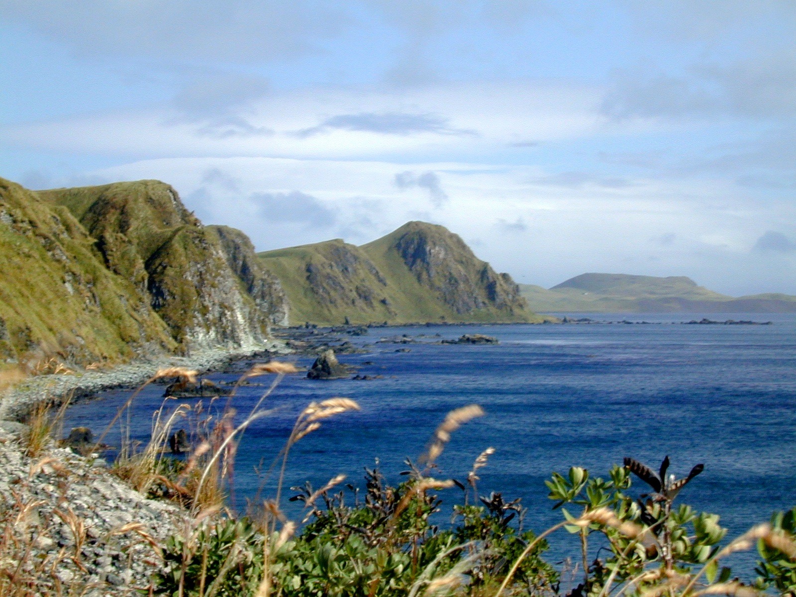 Jim Hlay's Adak 2000 Hunting Report