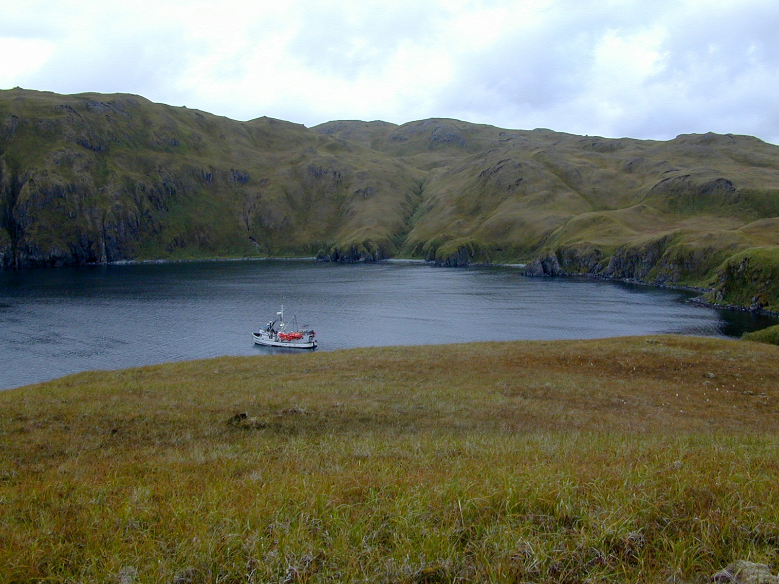 Jim Hlay's Adak 2000 Hunting Report