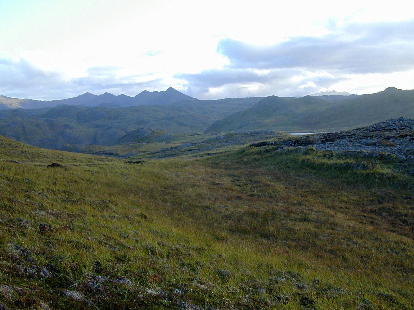 Jim Hlay's Adak 2000 Hunting Report