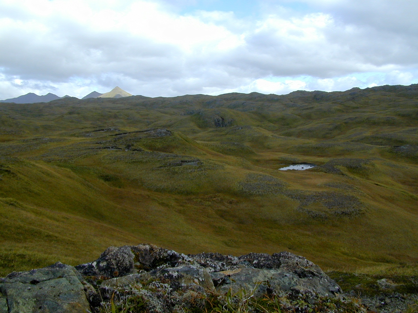 Jim Hlay's Adak 2000 Hunting Report