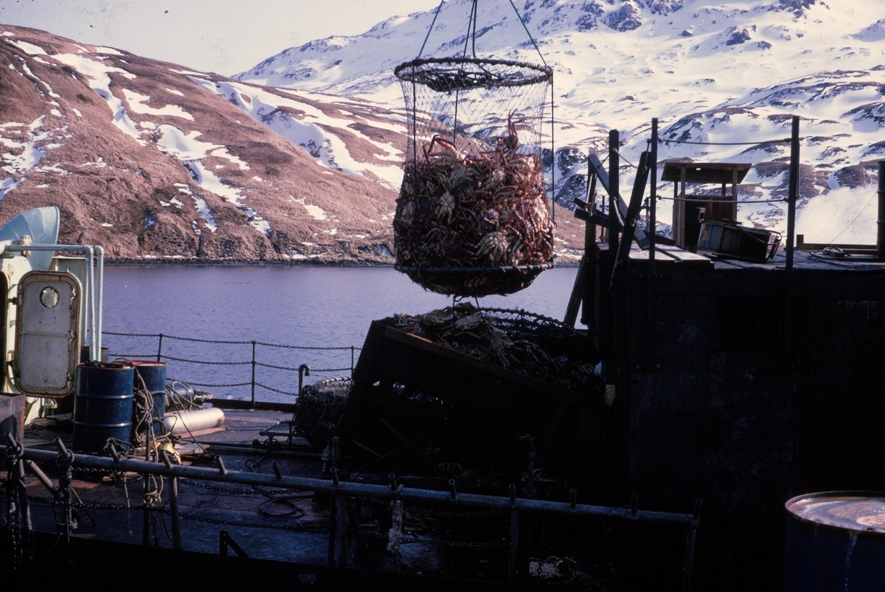 Zoom Slide Show Page 36, file 1965-0763adak-p-a-reed-loading-fish ...