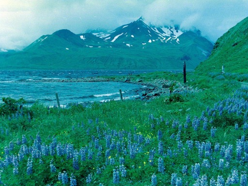 Adak Alaska 2000 by Paul Roberts, the Medium Format Page.