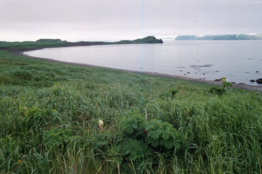 Adak Alaska 2000 by Paul Roberts - Page 2